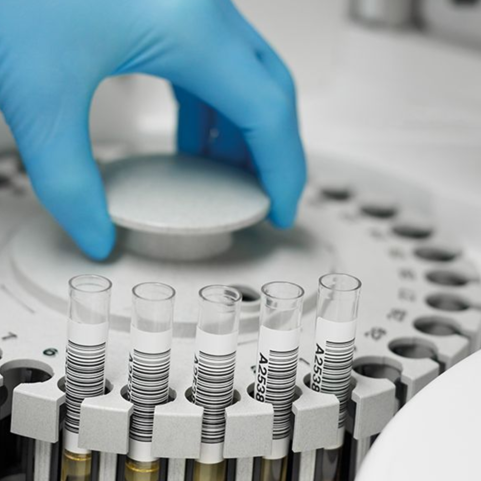 Private Blood Testing | Blood Tests UK | Bloods UK